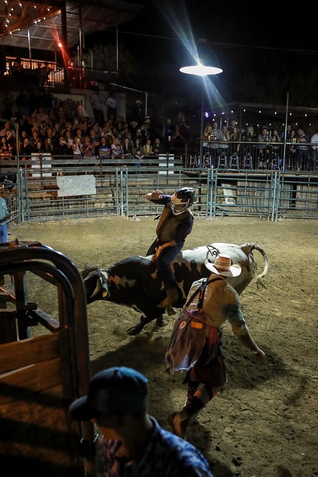 Best bar in the USA: Saddle Up At Buffalo Chip Saloon And Steakhouse ...