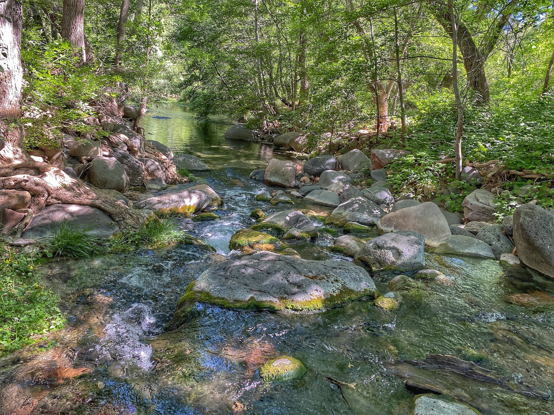 8 Must Do Waterfalls & Swimming Holes Near Phoenix | Inspire • Travel • Eat