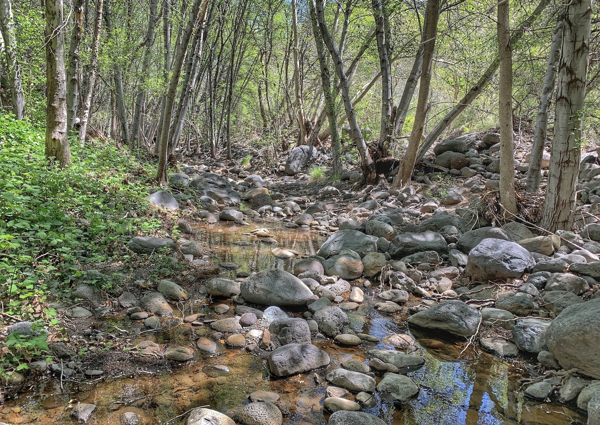 Hike Wet Beaver Creek to The Crack & secret oasis | Inspire • Travel • Eat
