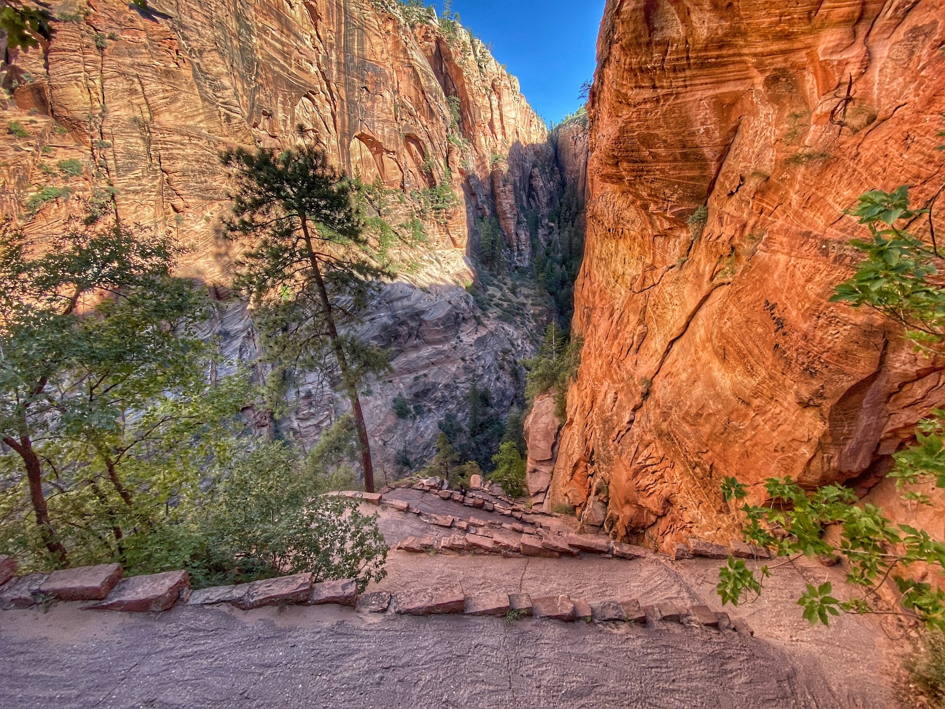 3 Best Zion National Park Hikes | Inspire • Travel • Eat