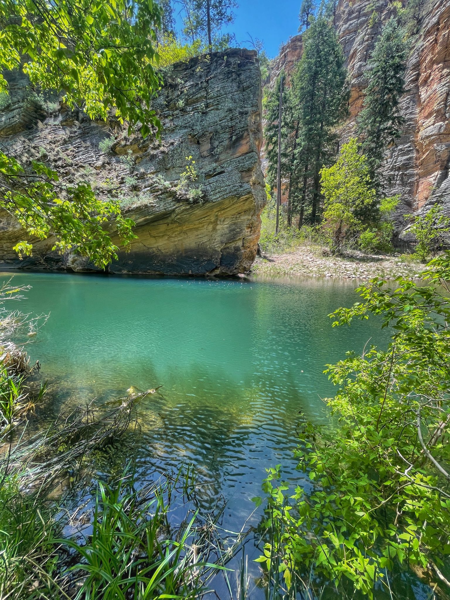 West Clear Creek Wilderness Trail Hike to Hanging Springs & Pool Grande ...