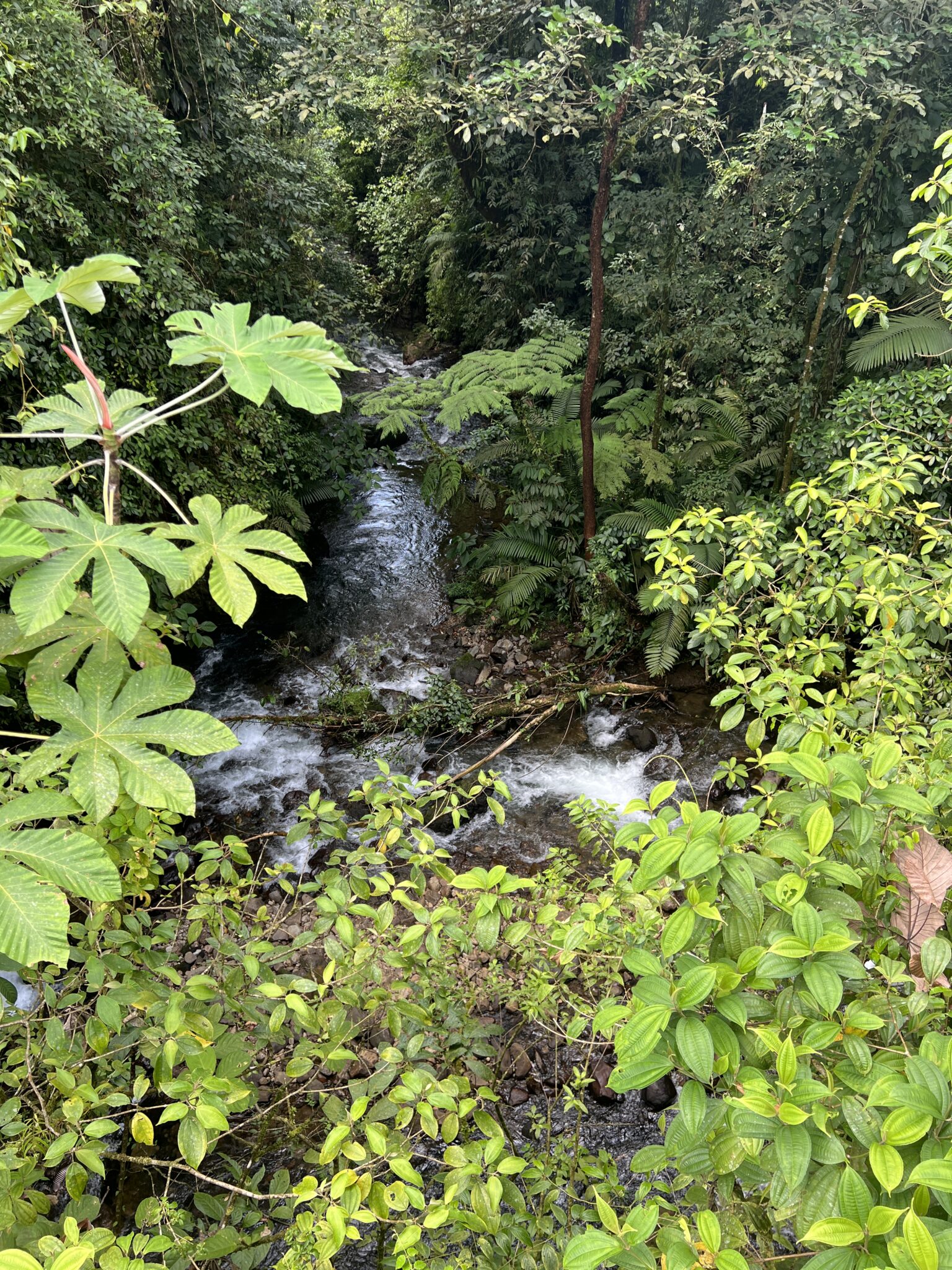 4 Best Hikes In La Fortuna | Inspire • Travel • Eat