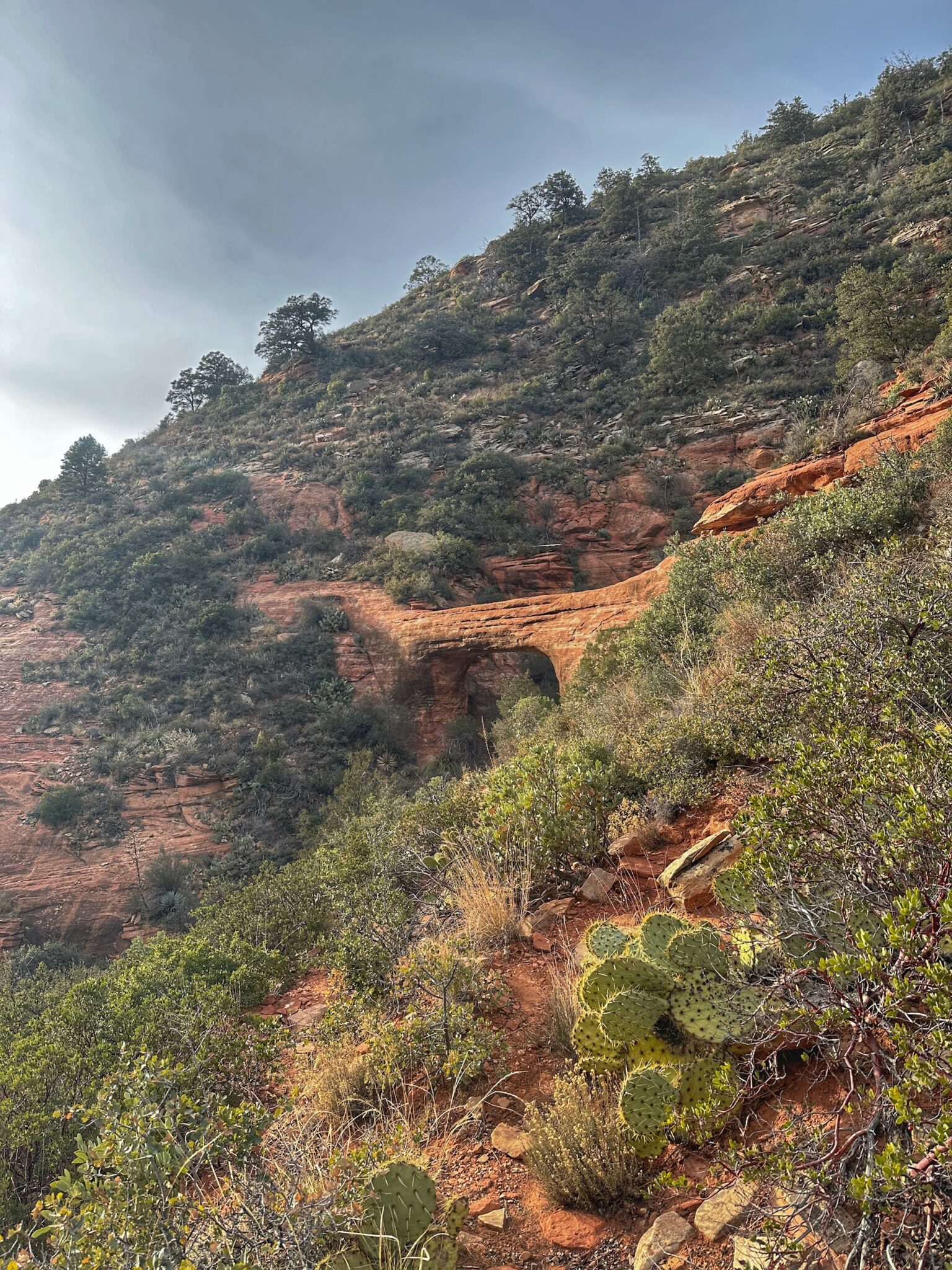Best Hikes In Sedona | 10 Must-Do Hikes | Inspire • Travel • Eat