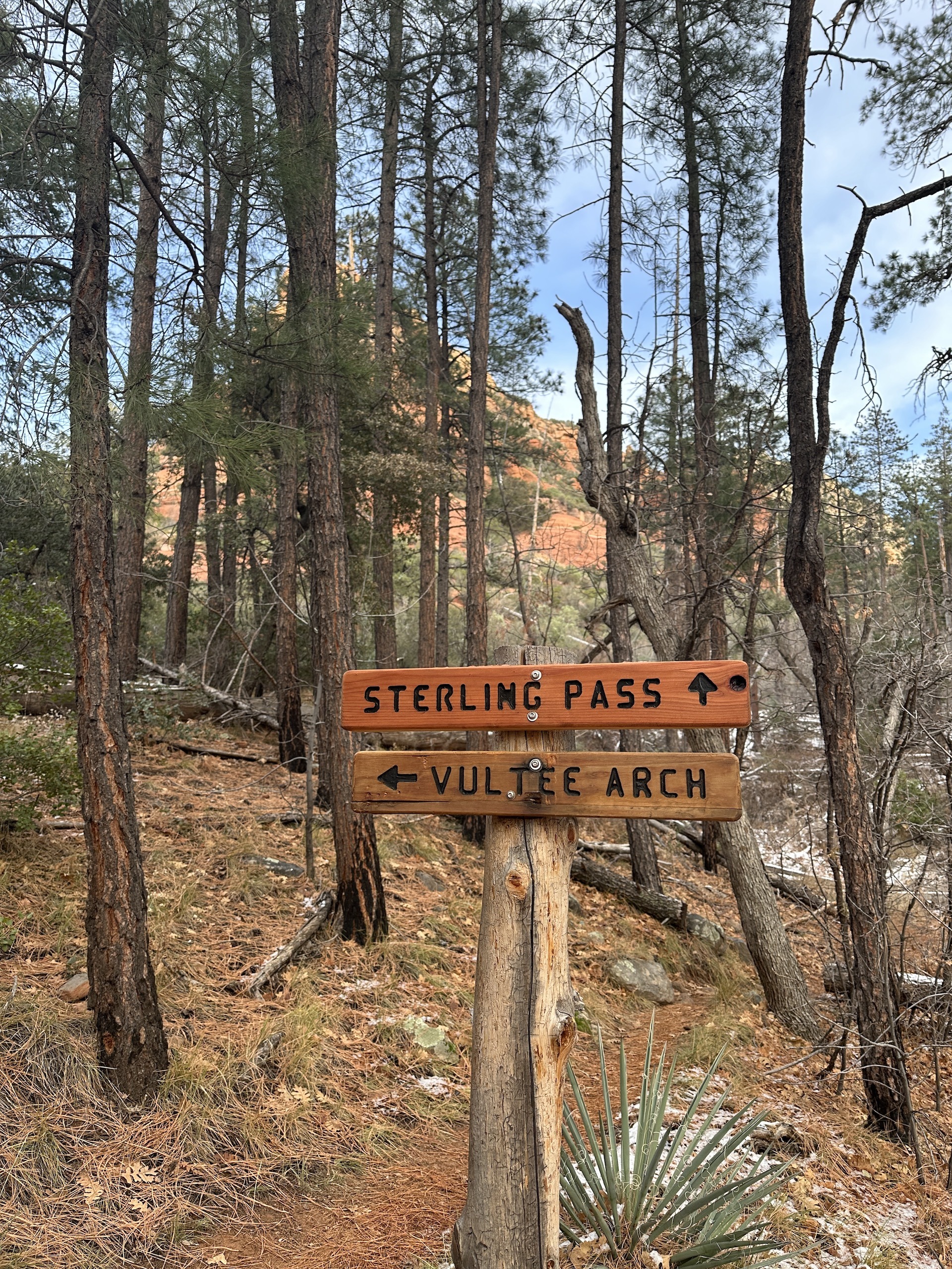 How To Hike To Vultee Arch: Sedona's Best Natural Bridge Adventure ...