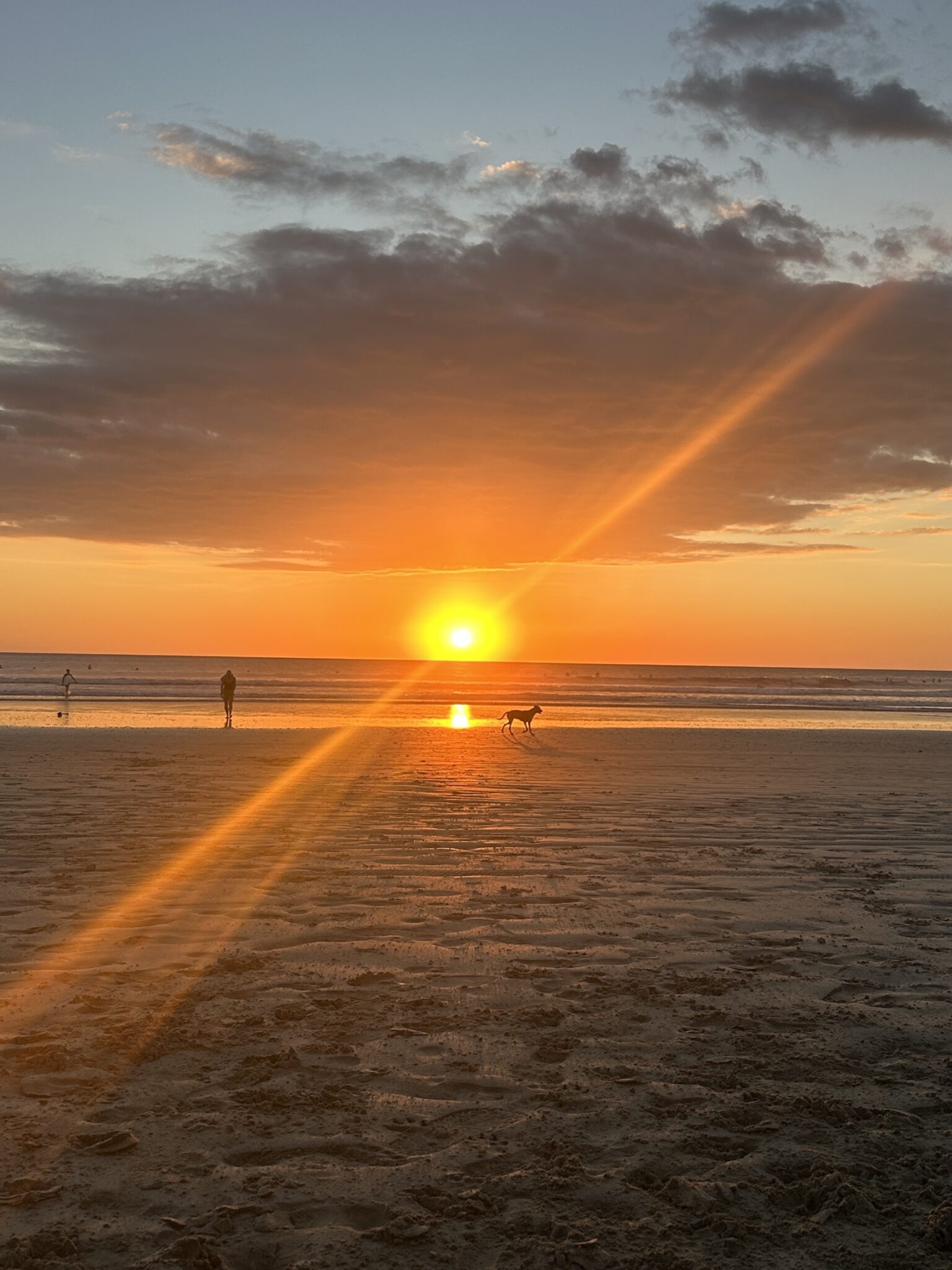 12 Best Things To Do In Nosara: A Guide To Paradise | Inspire • Travel ...